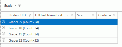 How To Sort And Group A Grid